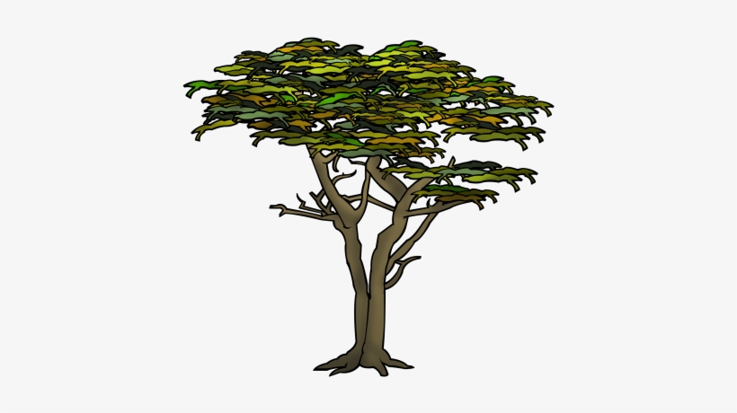 Cypress Tree - - Illustration - Free Transparent PNG Download - PNGkey