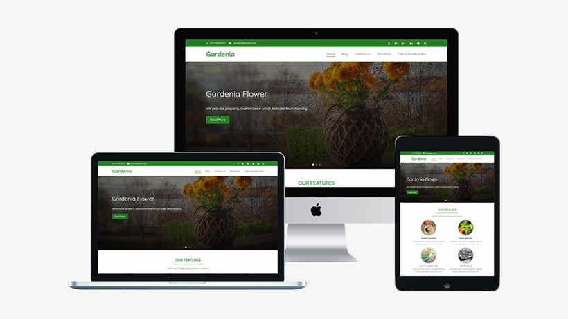 Demo - Web Design - Free Transparent PNG Download - PNGkey