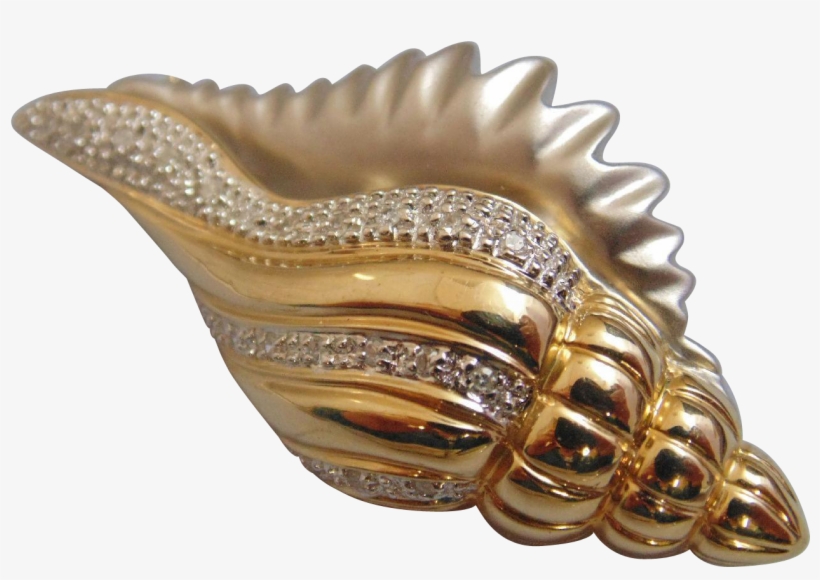 Conch Png Image Background - Gold Conch Png - Free Transparent PNG ...