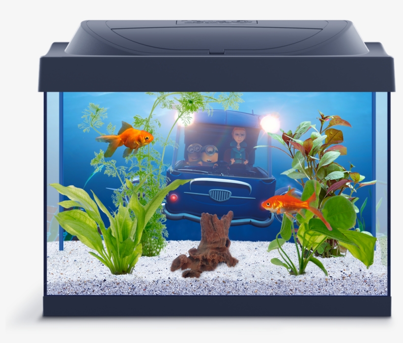 Minion Aquarium - Free Transparent PNG Download - PNGkey