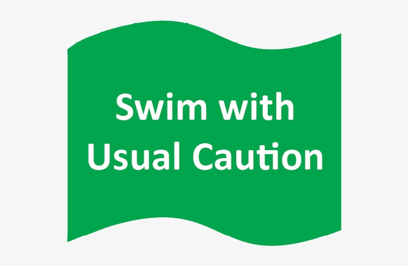 Green Flag - Memes About Good Deeds - Free Transparent PNG Download ...