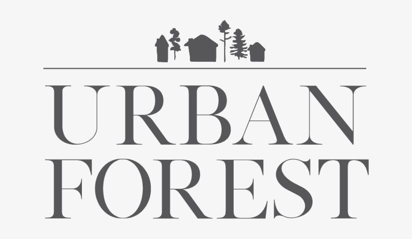 Urban Forest Logo - Logo - Free Transparent PNG Download - PNGkey