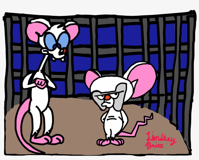 Pinky And The Brain - Free Transparent PNG Download - PNGkey