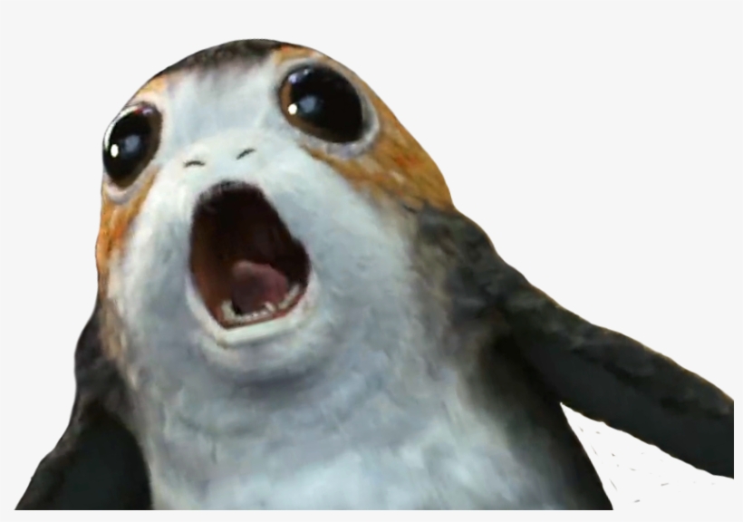 [ Img] - Steller Sea Lion - Free Transparent PNG Download - PNGkey