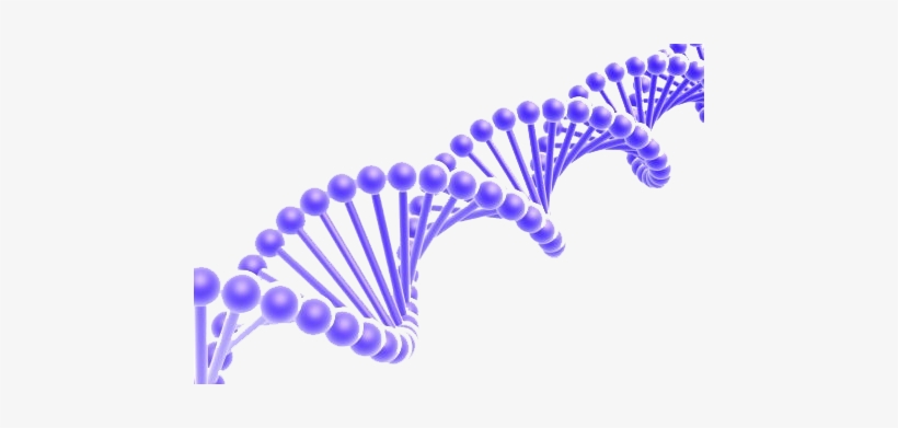 Dna - Free Transparent PNG Download - PNGkey