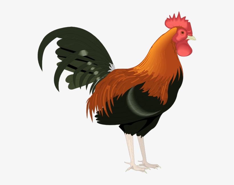 Hen And Rooster Clipart Image
