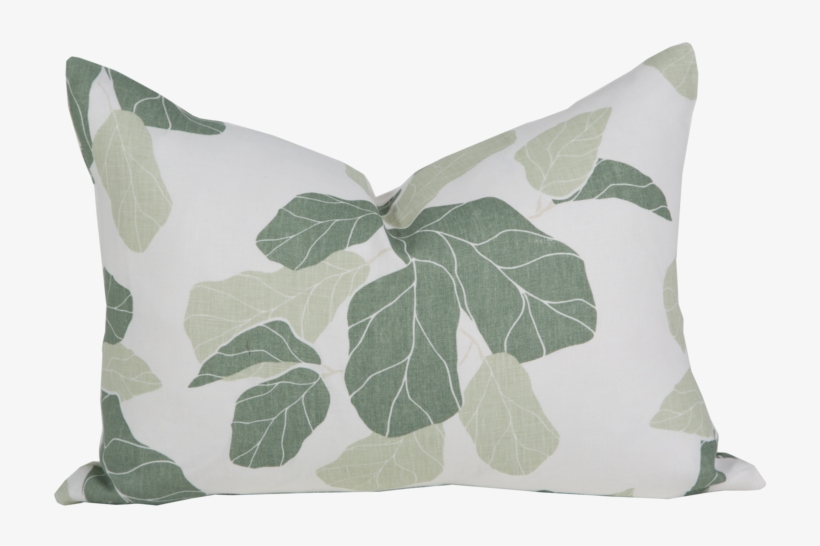 Fiddle Leaf Fig - Free Transparent PNG Download - PNGkey