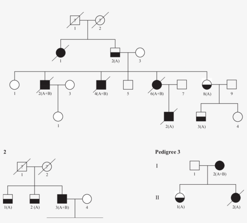 Squares Indicate Male And Circles Indicate Female - Diagram - Free ...