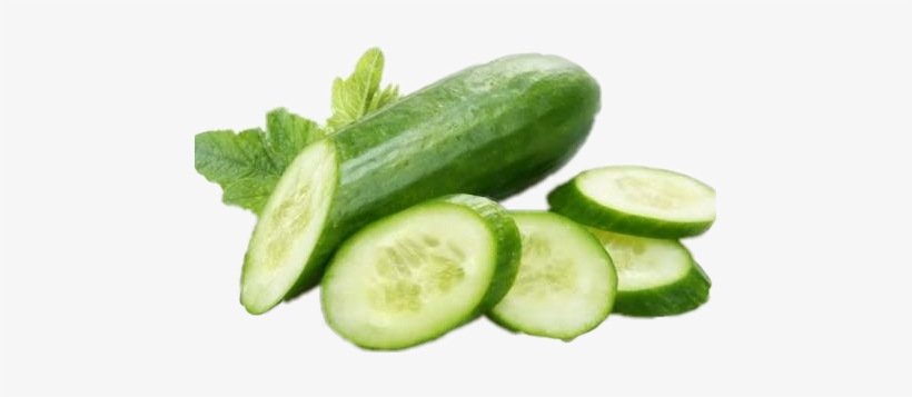 Pepino Sticker - Cucumber Png - Free Transparent PNG Download - PNGkey