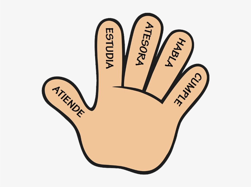 5 Dedos - Mano De 5 Dedos - Free Transparent PNG Download - PNGkey