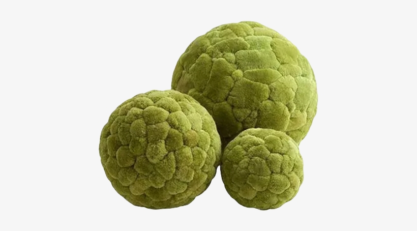 Diameter - Free Transparent PNG Download - PNGkey