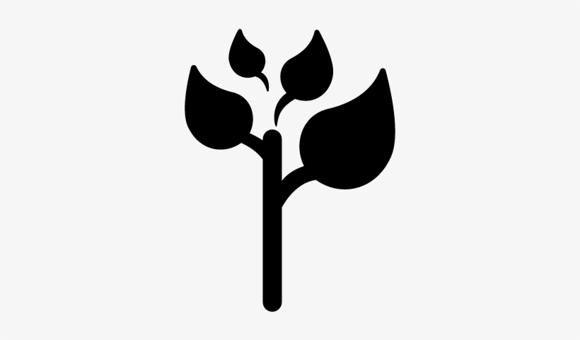 Four Leaves Plant Vector - Scalable Vector Graphics - Free Transparent ...