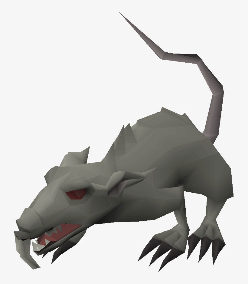 Blessed Giant Rat - Wiki - Free Transparent PNG Download - PNGkey