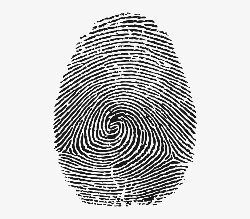 Fingerprinting - Fingerprint Texture Png - Free Transparent PNG ...