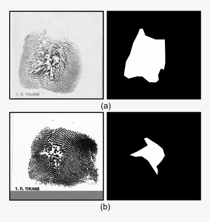Examples Of Altered Fingerprints And Corresponding - Illustration ...