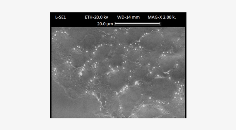 Spherical Shape Morphology And Narrow Particle Size - Outer Space ...