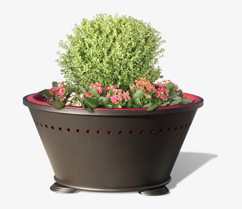 Flower Box - Free Transparent PNG Download - PNGkey