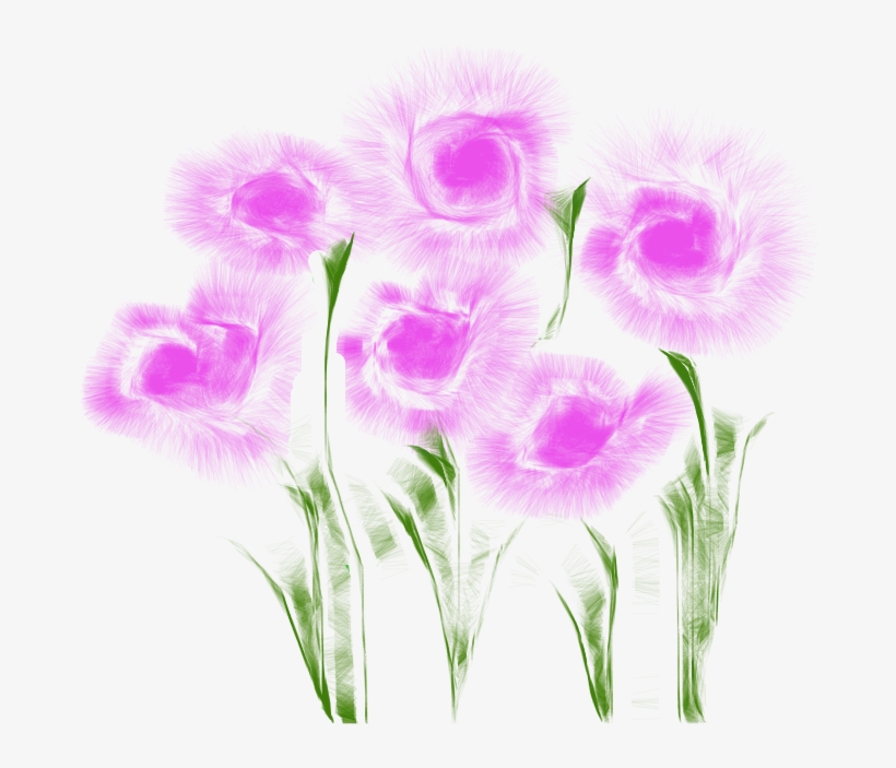 Flowers - Gilliflower - Free Transparent PNG Download - PNGkey