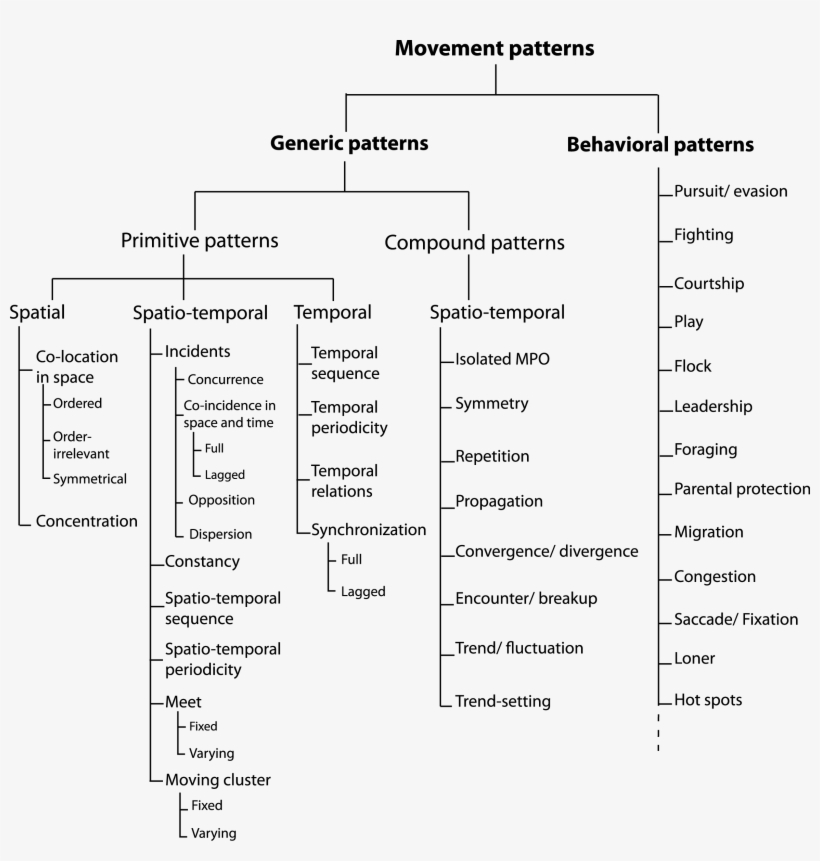 Patterns Of Movement - Document - Free Transparent PNG Download - PNGkey