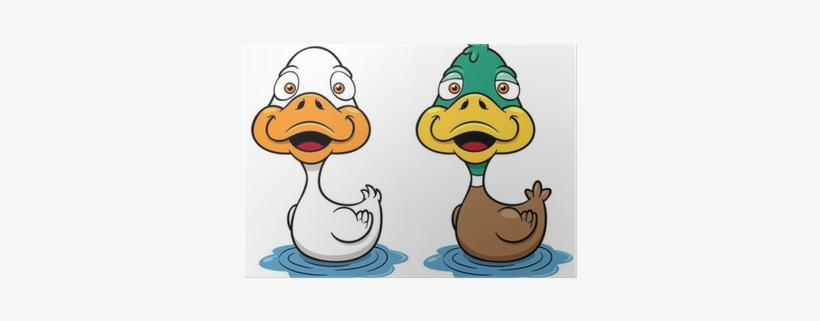 2 Duck Cartoon - Free Transparent PNG Download - PNGkey