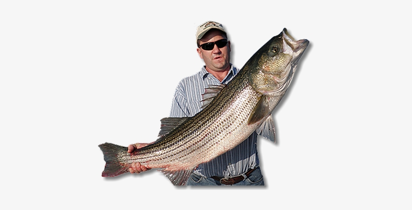 U - S - C - G - Certified For Up To Six Passengers - Pull Fish Out Of ...