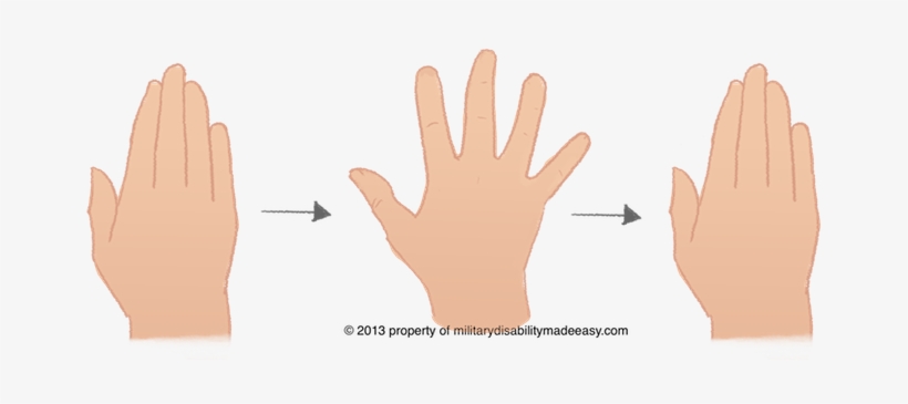 Upper Nerve 12 - Sign Language - Free Transparent PNG Download - PNGkey