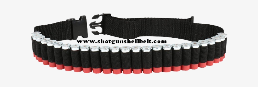 Shell Belt - Belt - Free Transparent PNG Download - PNGkey