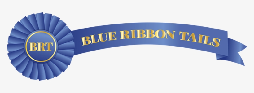 Welcome To Blue Ribbon Tails - Red - Free Transparent PNG Download - PNGkey