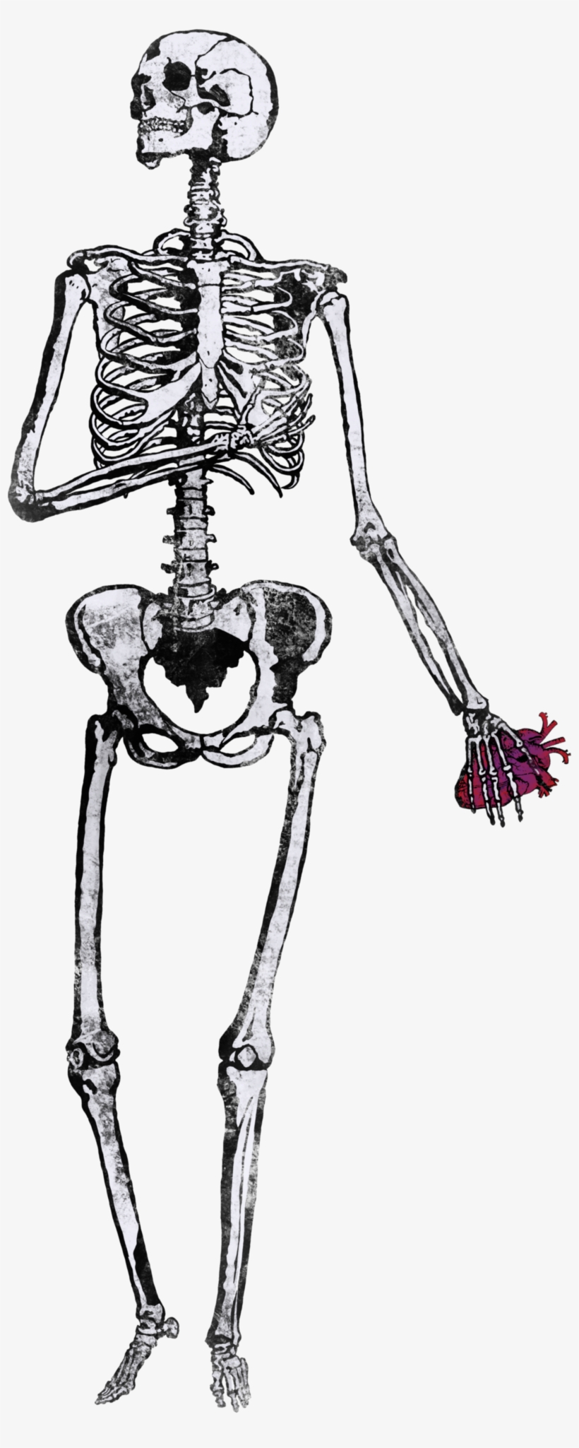 Image Of Heartless - Illustration - Free Transparent PNG Download - PNGkey