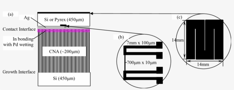 Schematic Of A Cna Sample, (b) Metal Pattern On A Glass - Diagram ...