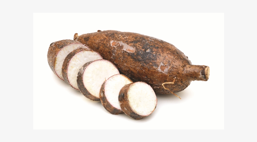 Cassava - Cassava Cyanide Poisoning - Free Transparent PNG Download ...