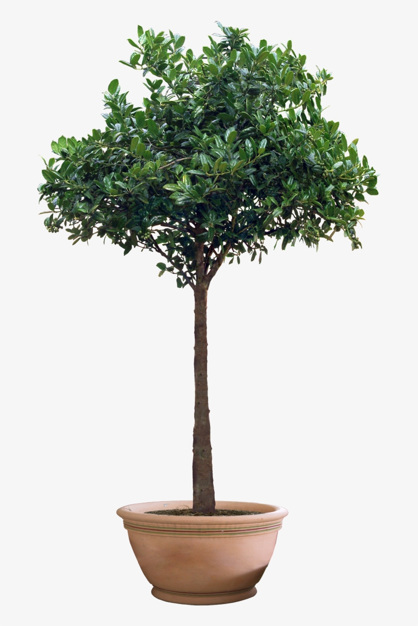 Free Icons Png - Hadrian's Wall - Free Transparent PNG Download - PNGkey