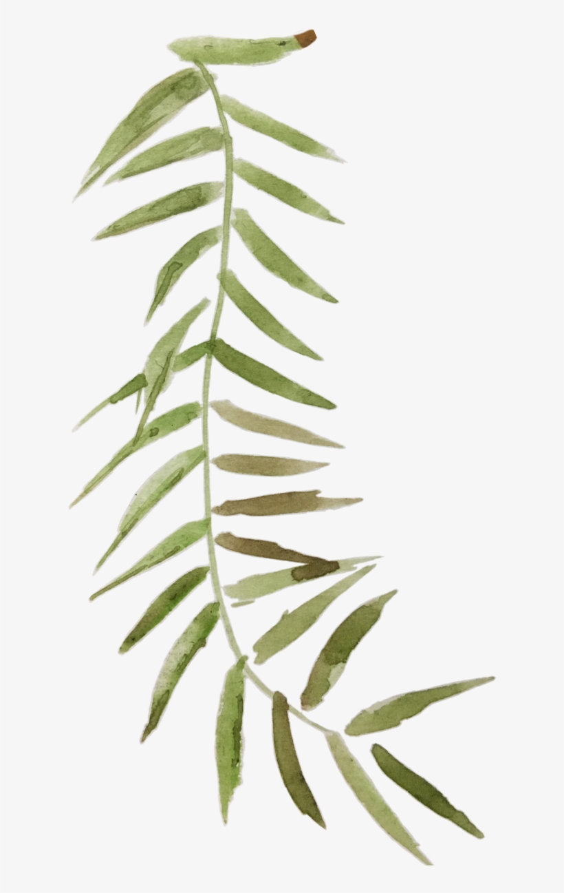 Img 3550 Img 3552 - Free Transparent PNG Download - PNGkey