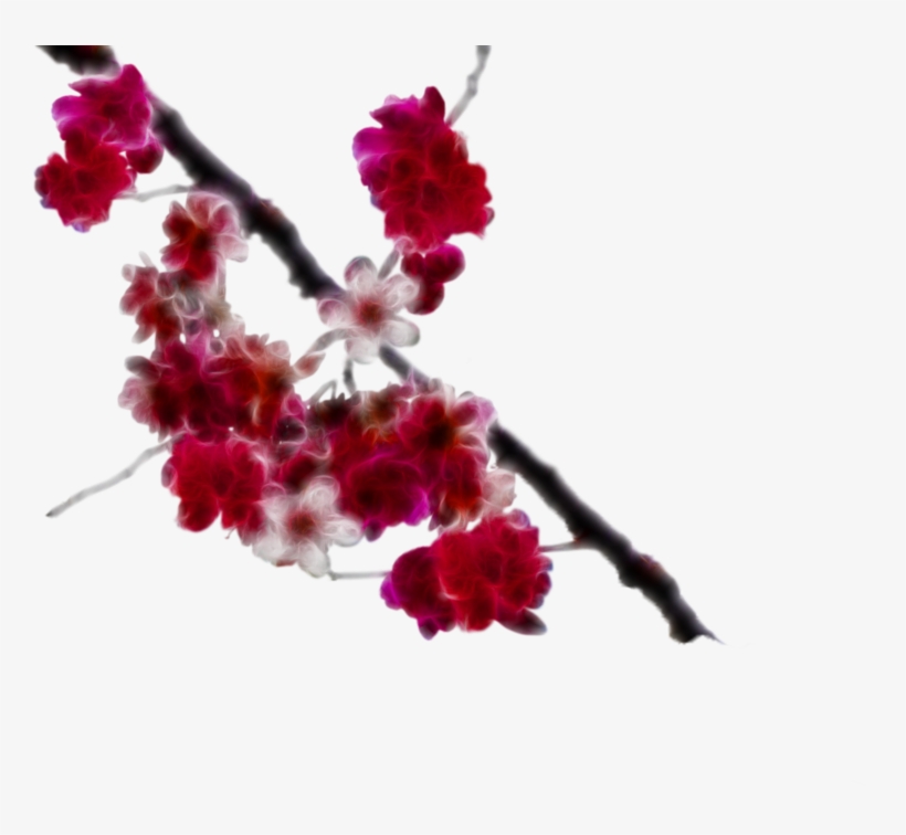Blossom Png Clipart - Crape Myrtle - Free Transparent PNG Download - PNGkey