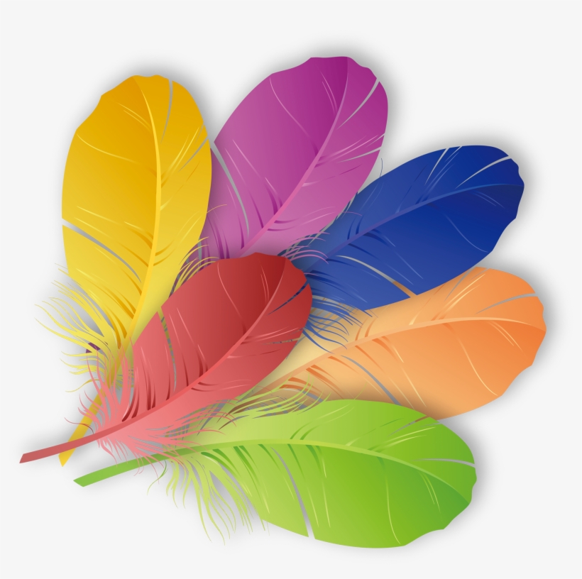 The Floating Feather Color - Feather Color Png - Free Transparent PNG ...