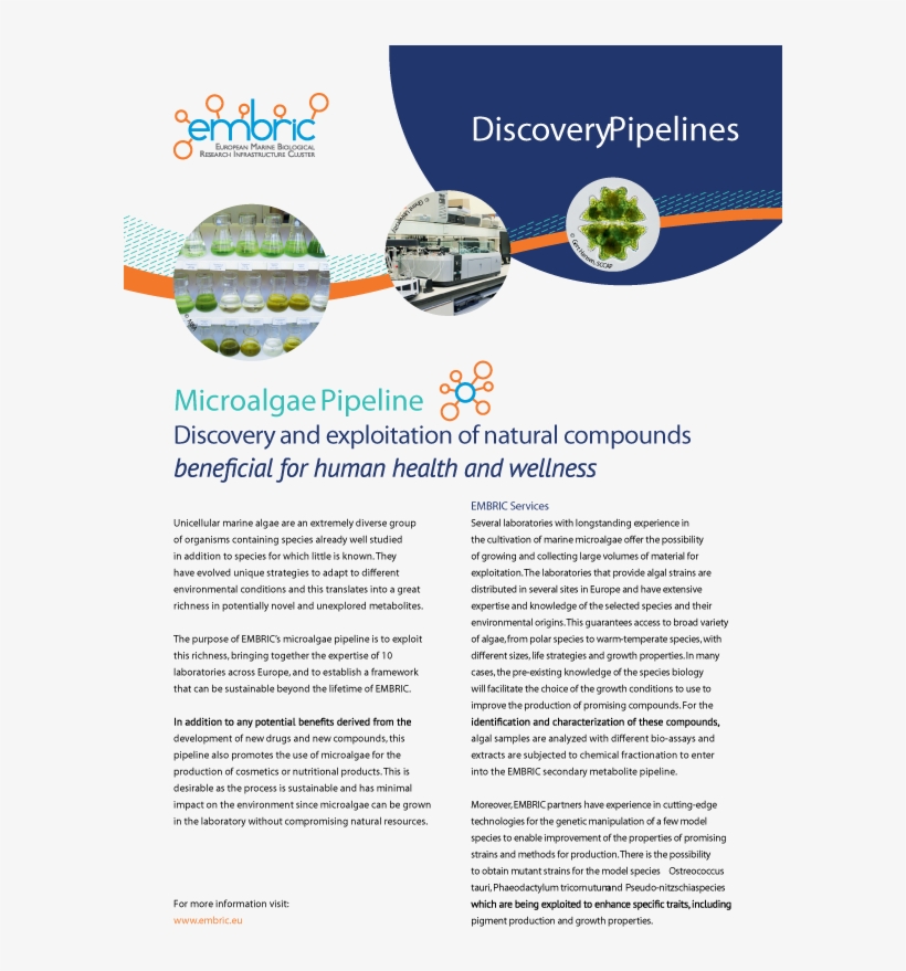 Embric Discovery Pipeline Flyers - Company - Free Transparent PNG ...