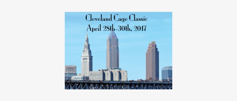 Follow Us On Twitter - Cleveland - Free Transparent PNG Download - PNGkey