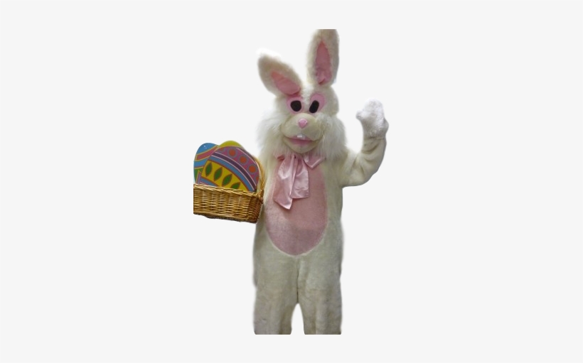 Easter Rabbit Costume - Easter Bunny Costume - Free Transparent PNG ...