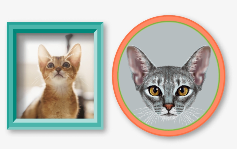 Abyssinian Cat - Art Print: Ant Art19's Illustrative Portrait Of ...