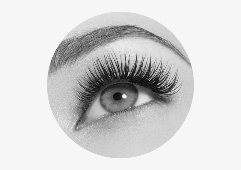 Eye - Eyelash Extensions - Free Transparent PNG Download - PNGkey