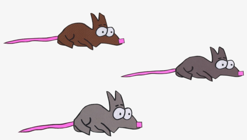 Rat - Free Transparent PNG Download - PNGkey