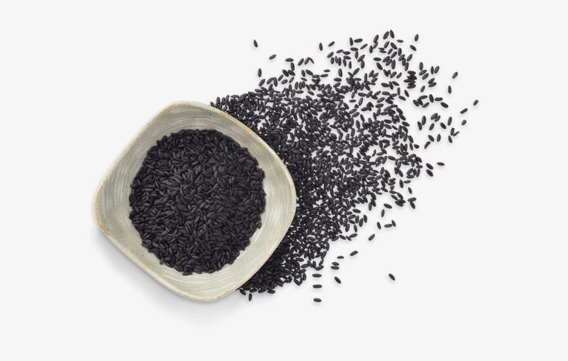 Black Rice - Black Rice Png - Free Transparent PNG Download - PNGkey