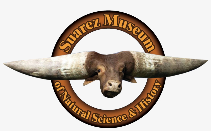 History - Free Transparent PNG Download - PNGkey