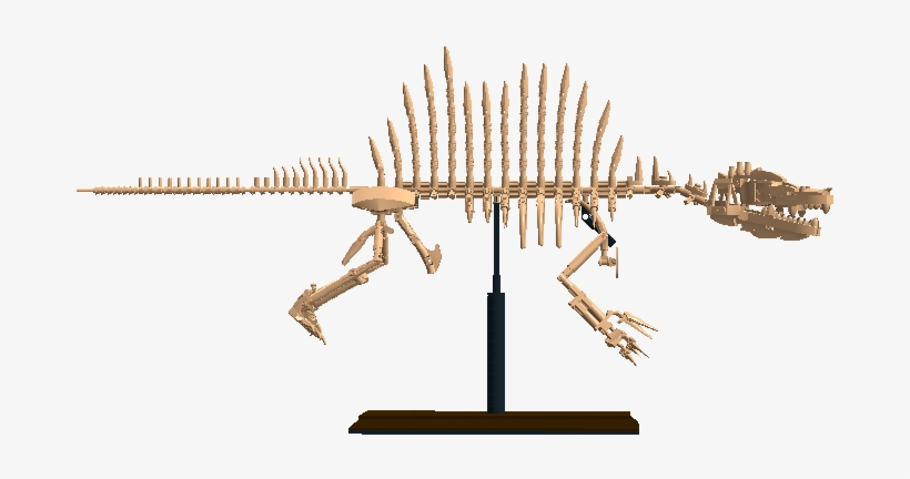 The Relic Collection - Skeleton - Free Transparent PNG Download - PNGkey