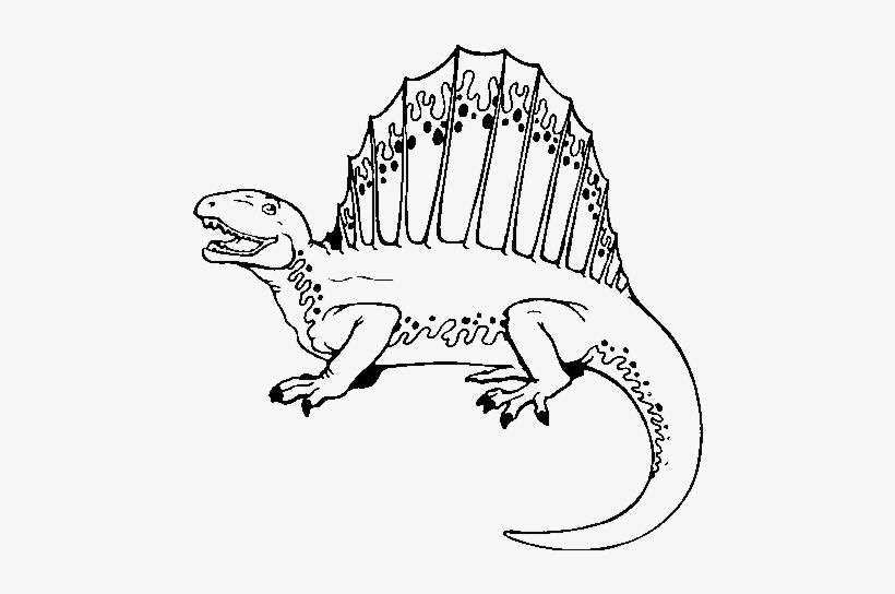Dimetrodon Coloring - Free Transparent PNG Download - PNGkey