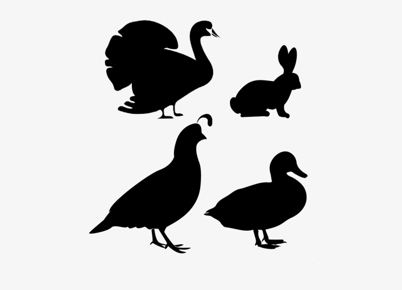 Turkey Style 5350 Diy Plastic Stencil Acrylic Mylar - Free Transparent ...