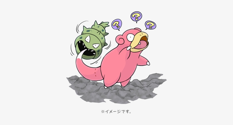 Artwork - Slowbro Shell - Free Transparent PNG Download - PNGkey