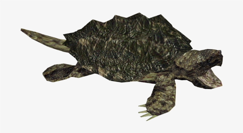 Alligator Snapping Turtle - Snapping Turtle Png - Free Transparent PNG ...