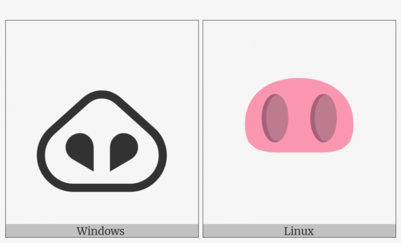 Pig Nose On Various Operating Systems - Circle - Free Transparent PNG ...