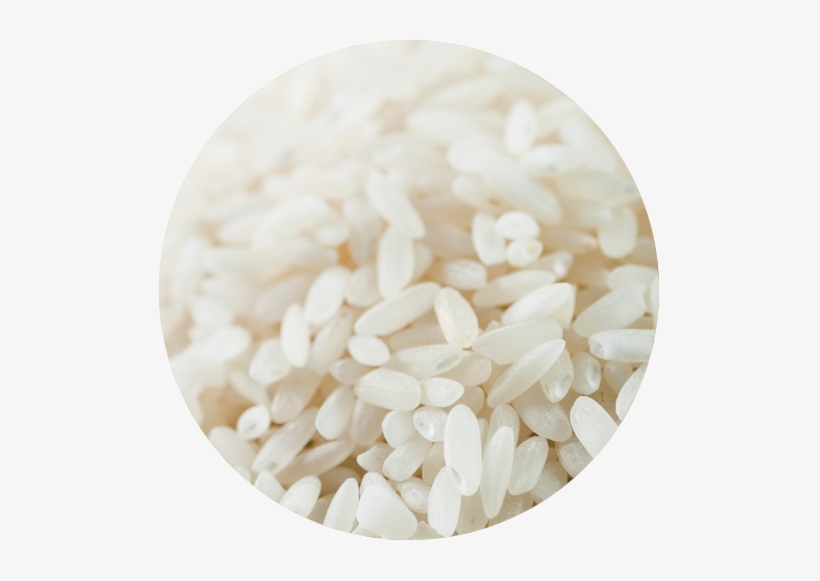 Rice - Free Transparent PNG Download - PNGkey